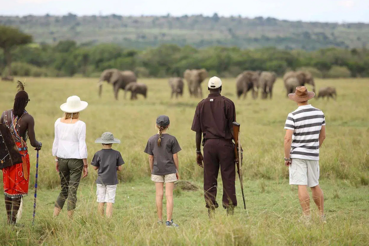 9-Day Tanzania Family Safari - Lauwo Adventures