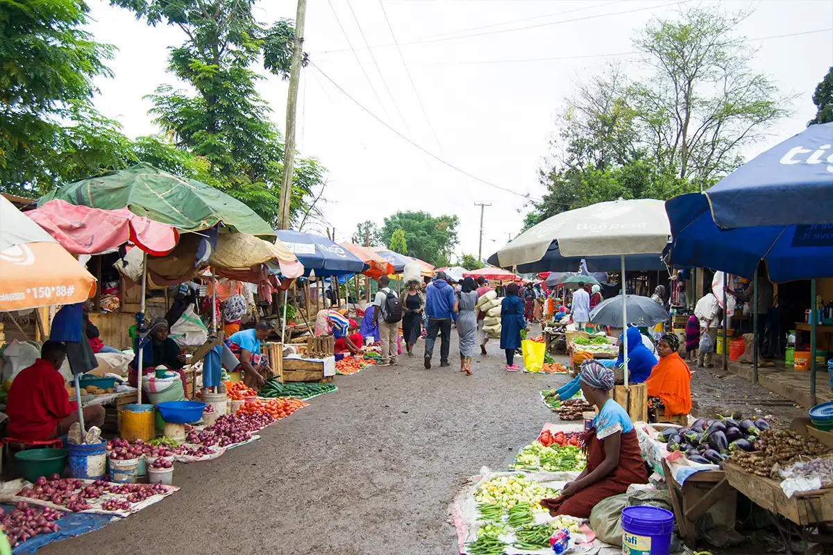 Tanzania Day Trips – Top Short Adventures from Arusha, Moshi & Beyond
